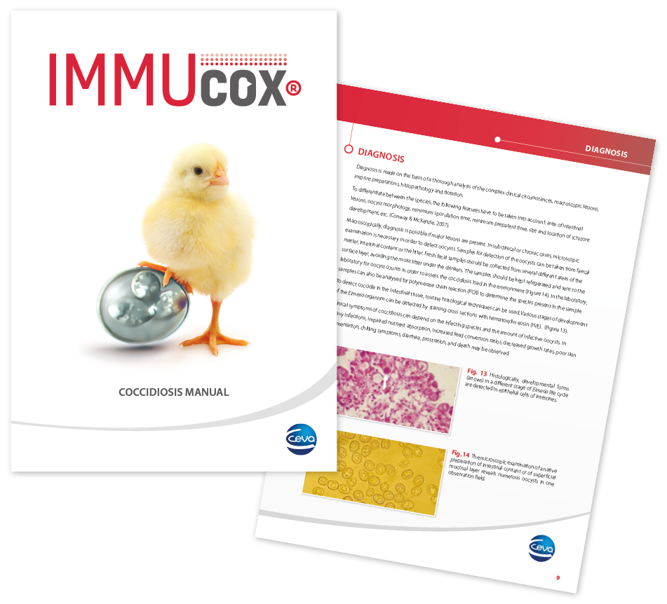 Coccidiosis Immucox
